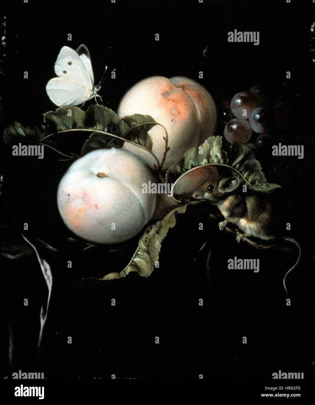 Willem van aelst still life fruit hi-res stock photography and images ...