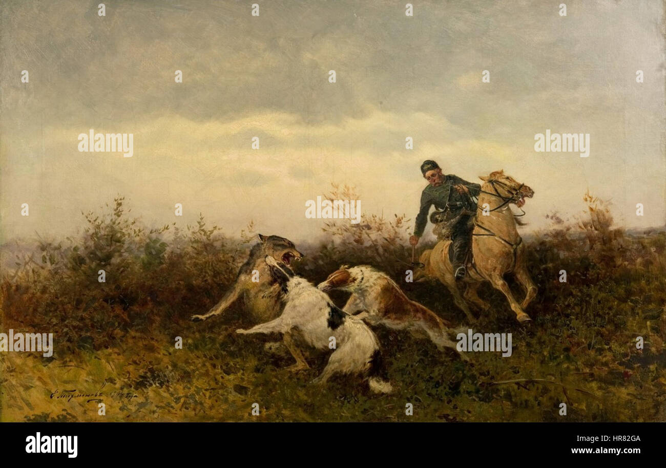 Borzoi Dog Hunting Wolves