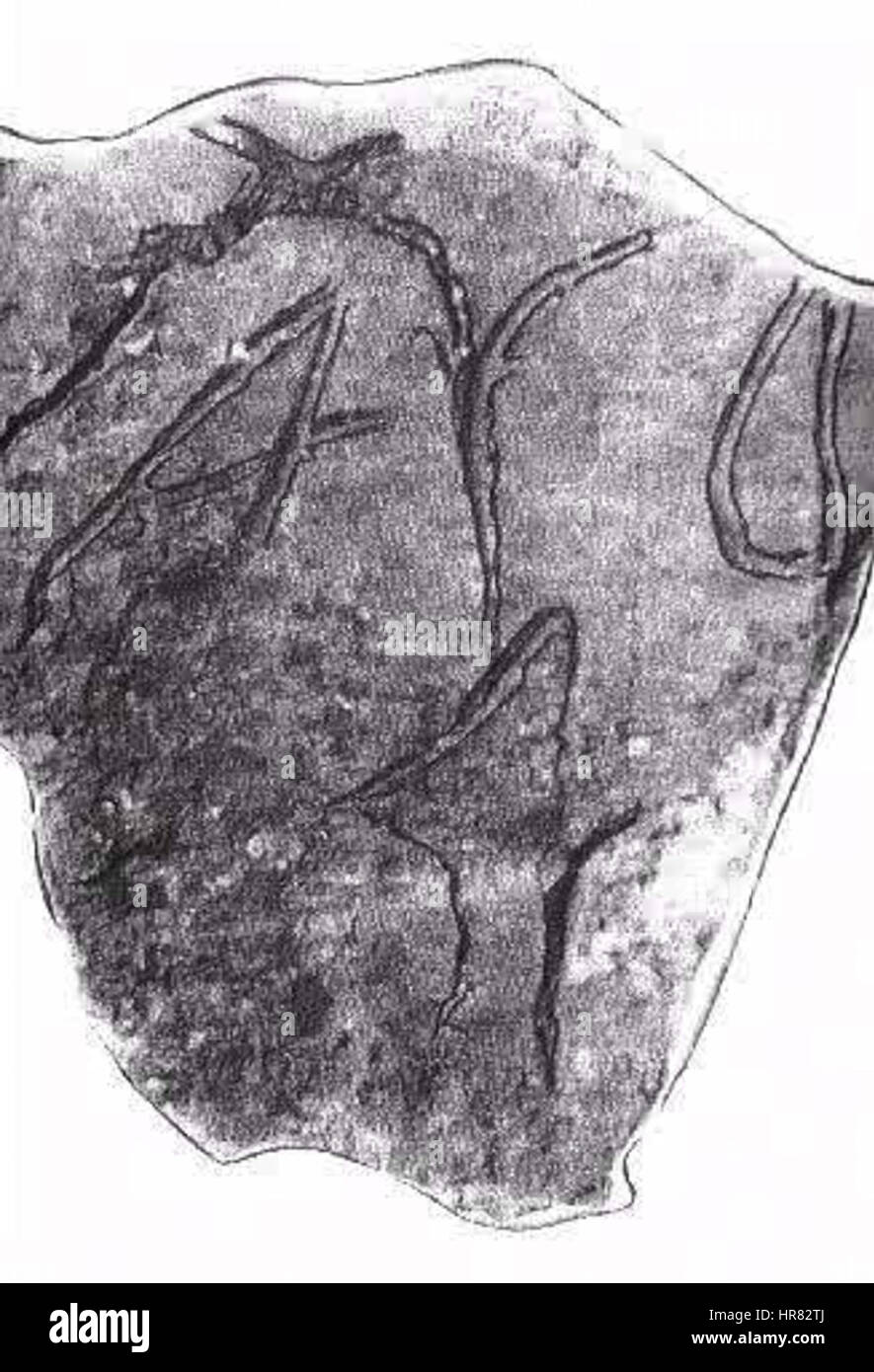 Potsherd hi-res stock photography and images - Alamy