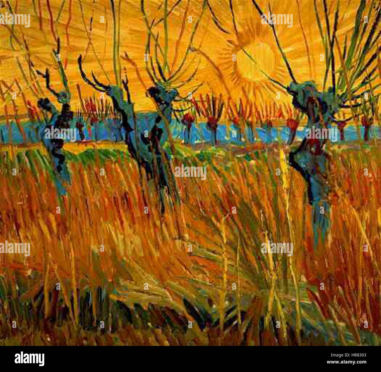 'Willows at Sunset' captures a tranquil scene of willows silhouetted ...