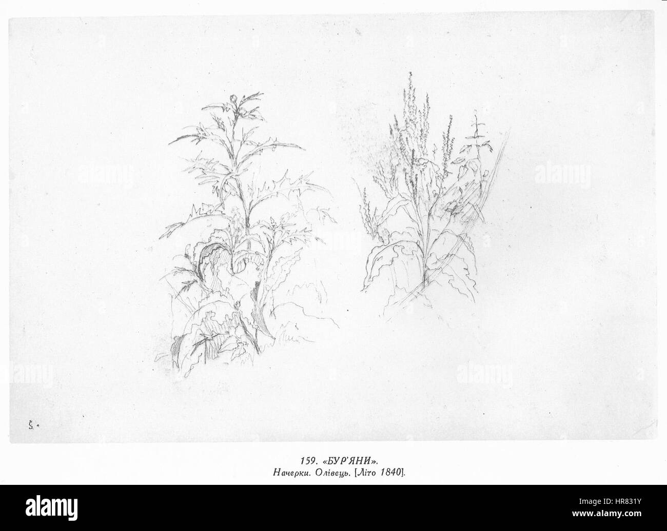 Taras Shevchenko painting 0159 Stock Photo - Alamy