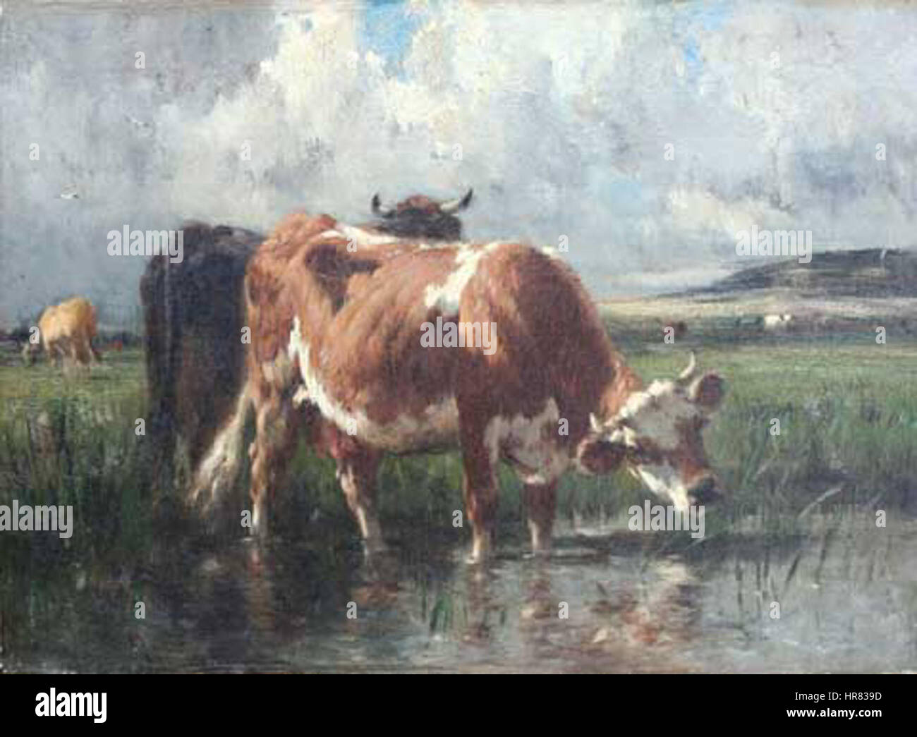 Van marcke hi-res stock photography and images - Alamy