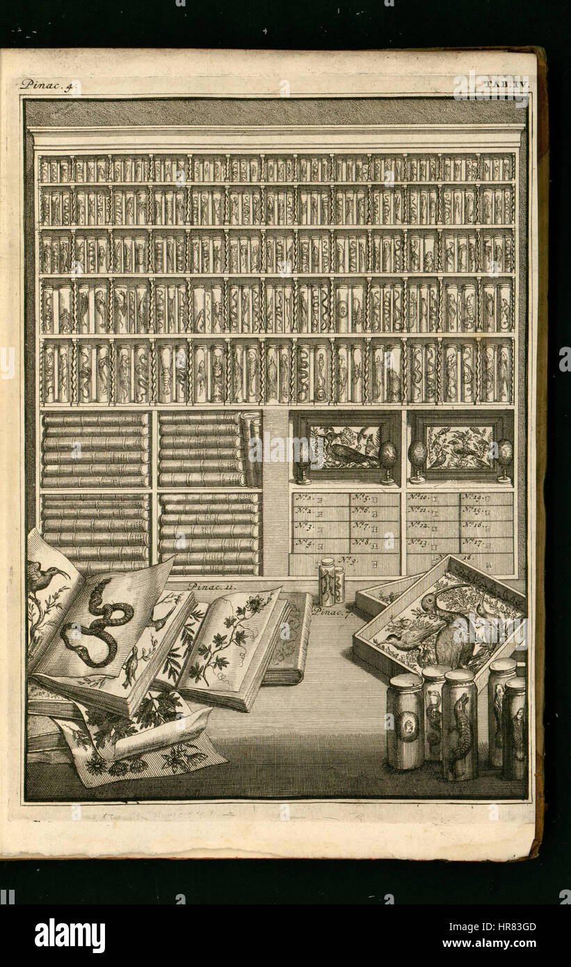 Levinus vincent hi-res stock photography and images - Alamy