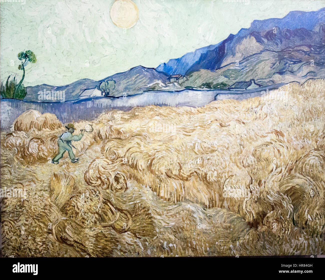 Wheat Fields with Reaper at Sunrise - My Dream Stock Photo - Alamy