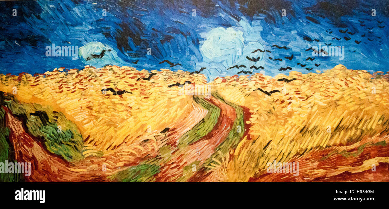 Wheat Field with Crows (JH 2117) - My Dream Stock Photo - Alamy