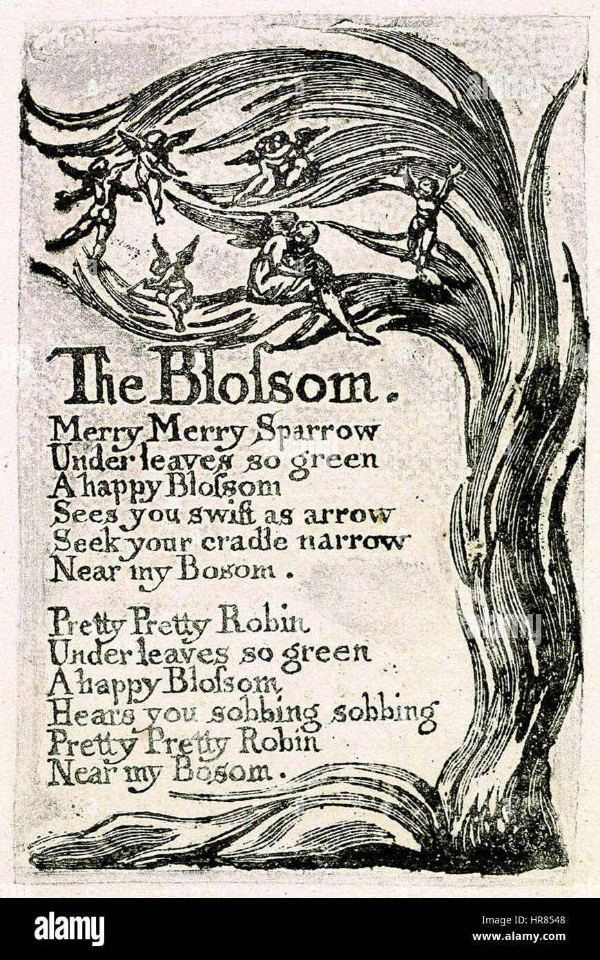 Songs of Innocence, copy U, 1789 (The Houghton Library) object 8 The ...