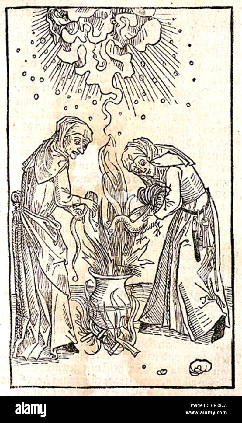 'Von den Unholden 6 Wettermachen' by Ulrich Molitoris illustrates ...