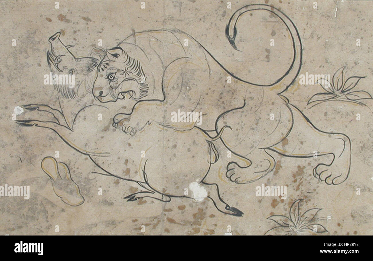 Boar Drawing High Resolution Stock Photography and Images - Alamy