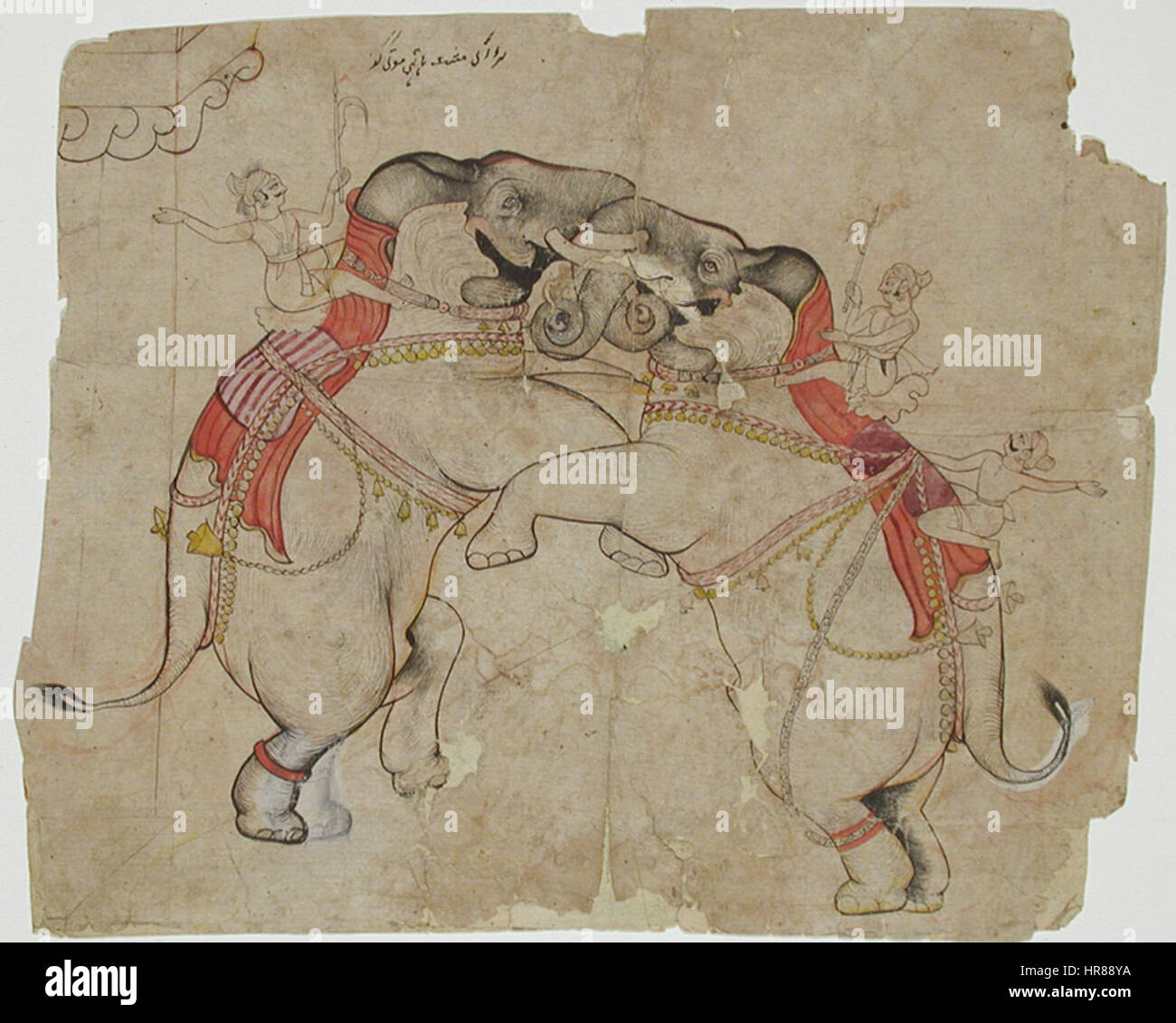 Two elephants rearing and fighting (6124558751 Stock Photo - Alamy