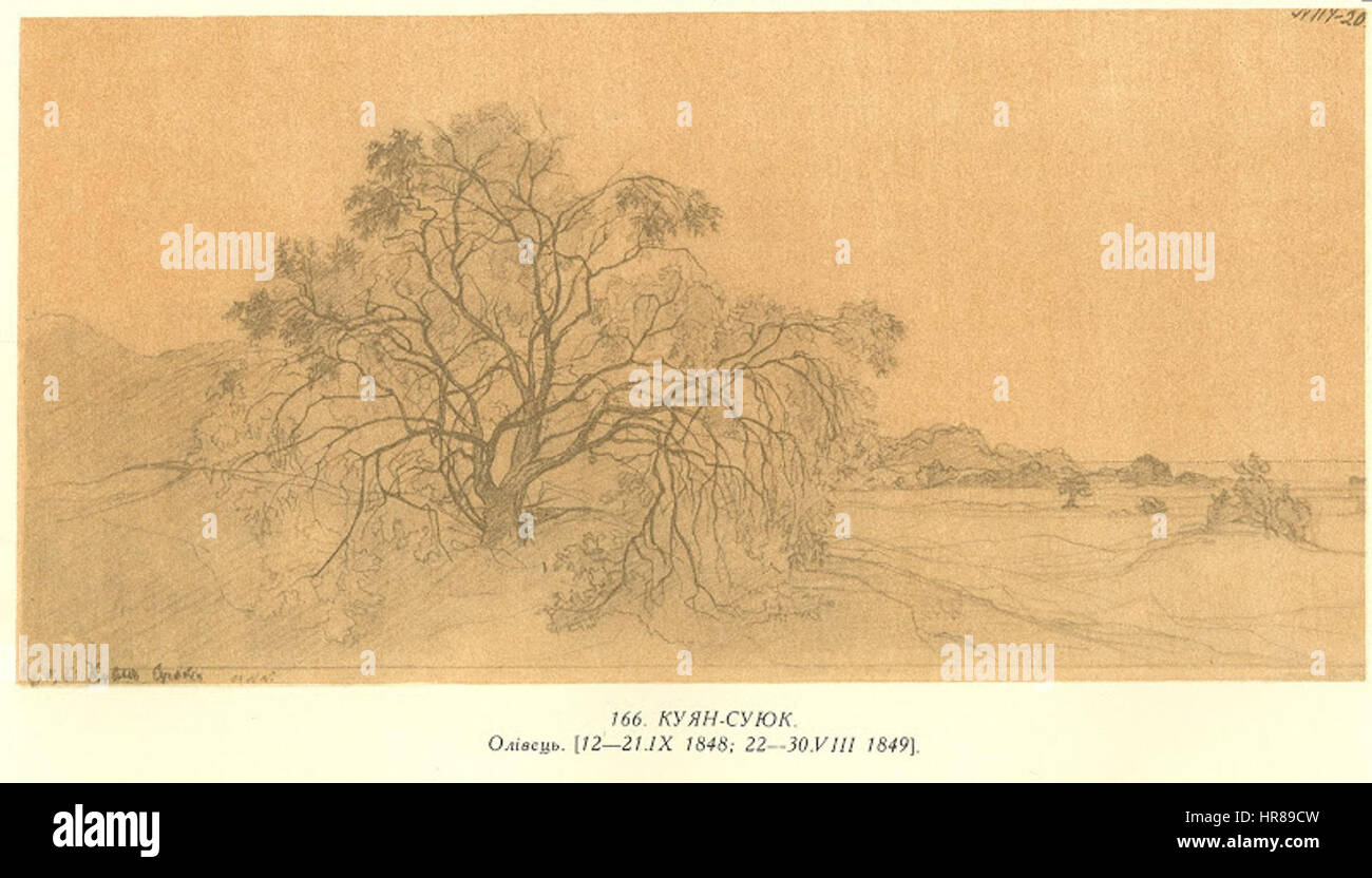 This painting by Taras Shevchenko showcases the artist's mastery in ...