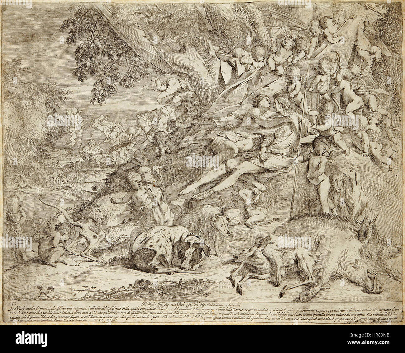 Adone High Resolution Stock Photography and Images - Alamy