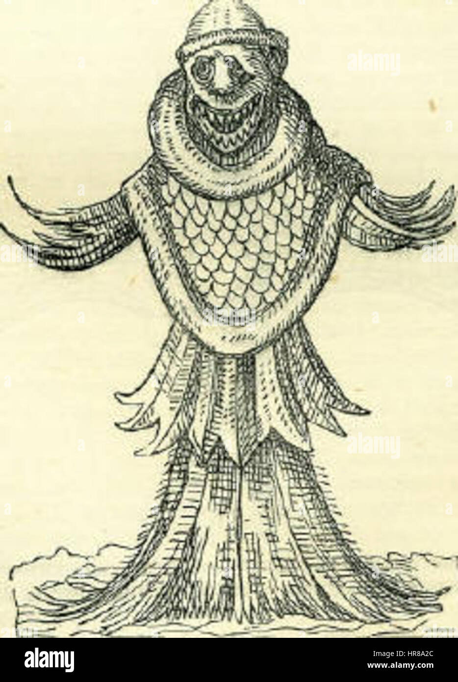 Sea monk drawing hi-res stock photography and images - Alamy