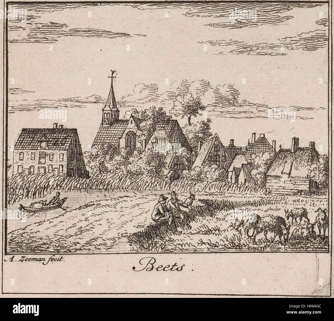 Historical beets hi-res stock photography and images - Alamy