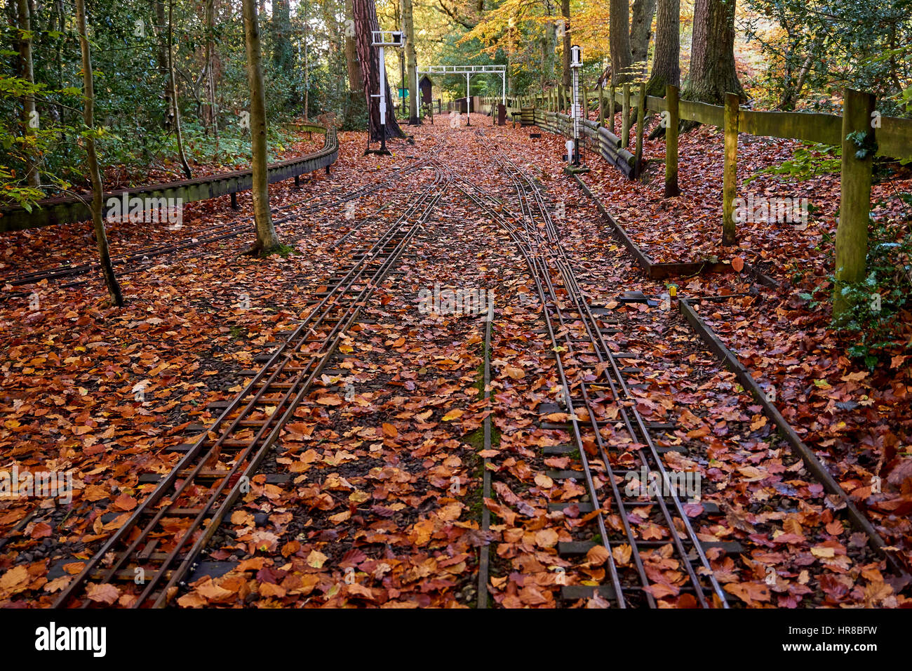 Miniature railway track hi-res stock photography and images - Alamy