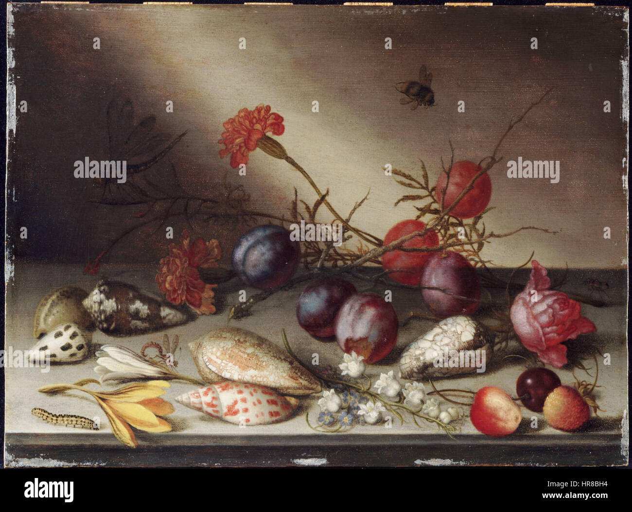 Balthasar van der Ast's still life from the 1630s-50s features an ...