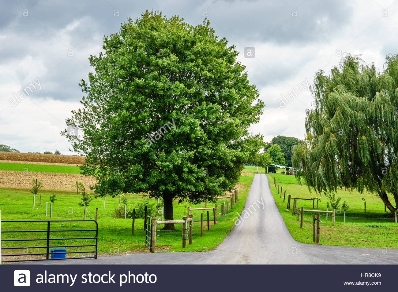 Pennsylvania Dutch In Amish Country High Resolution Stock Photography ...