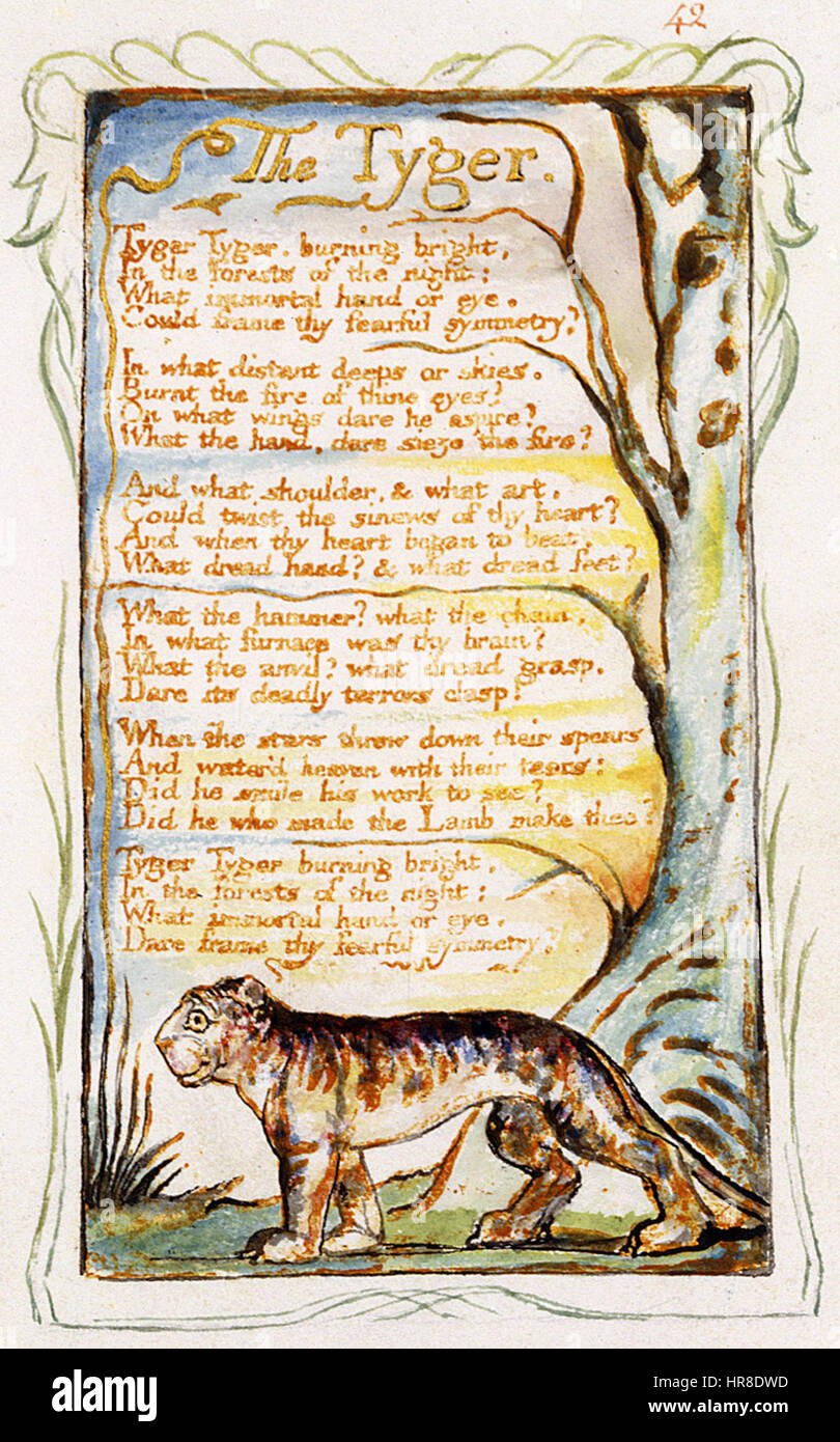 Songs of Innocence and of Experience copy Y object 42 The Tyger Stock ...