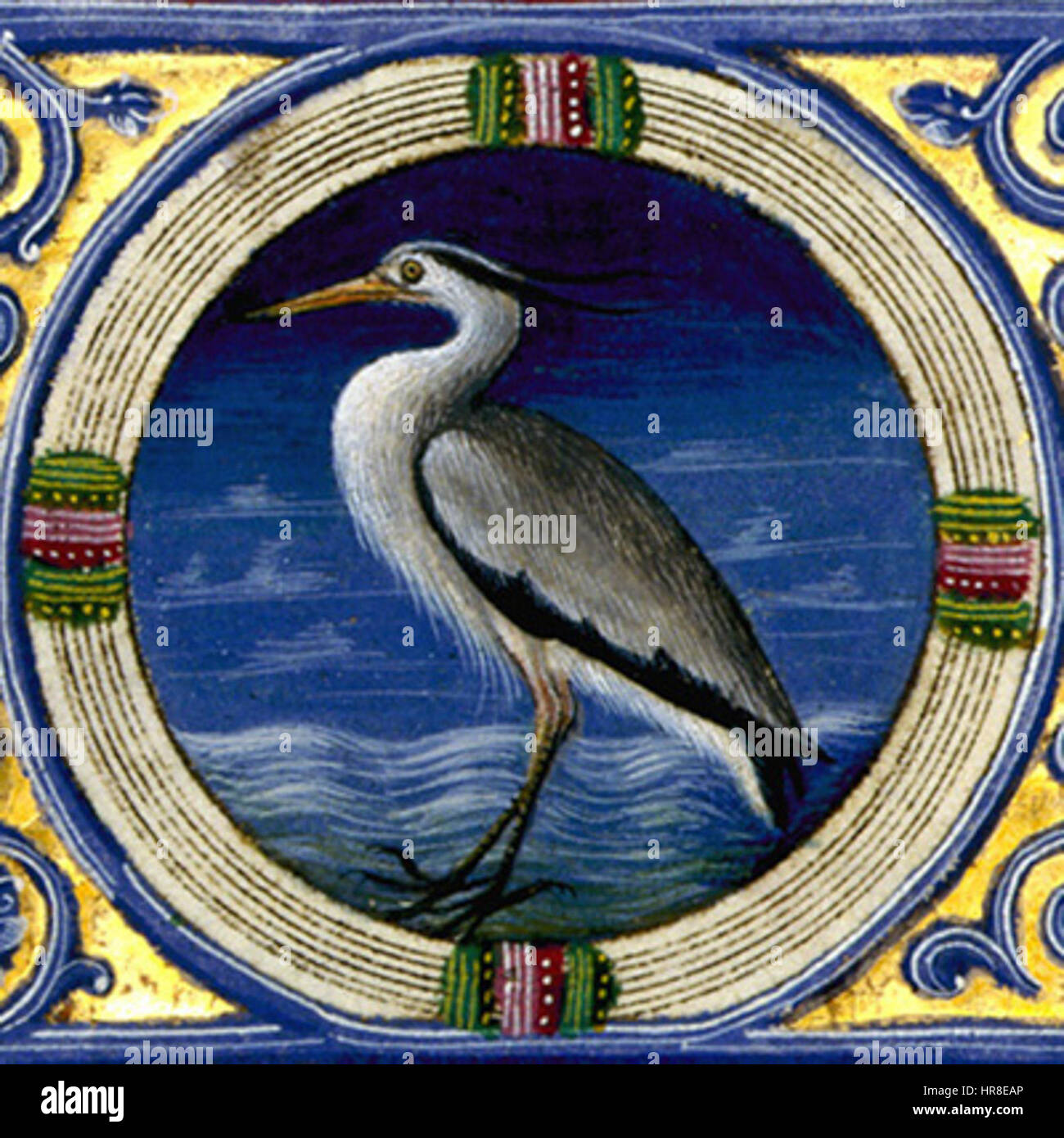 Taddeo crivelli, bibbia di borso d'este 04 Stock Photo - Alamy