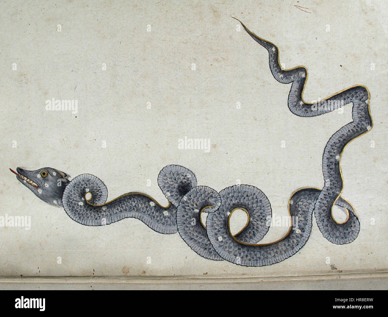 The Constellation of the Dragon- al-Tinnin (6125053328 Stock Photo - Alamy