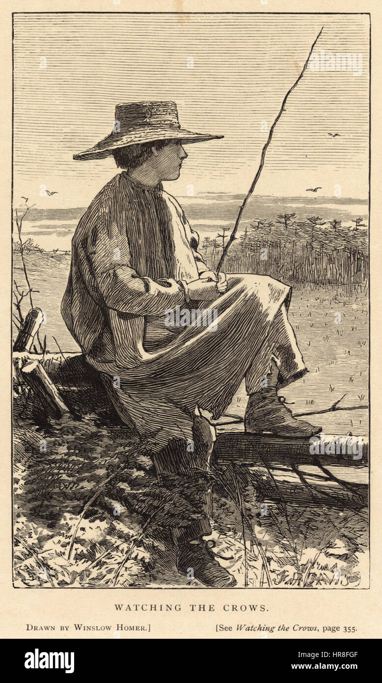 Watching the crows (Boston Public Library Stock Photo - Alamy