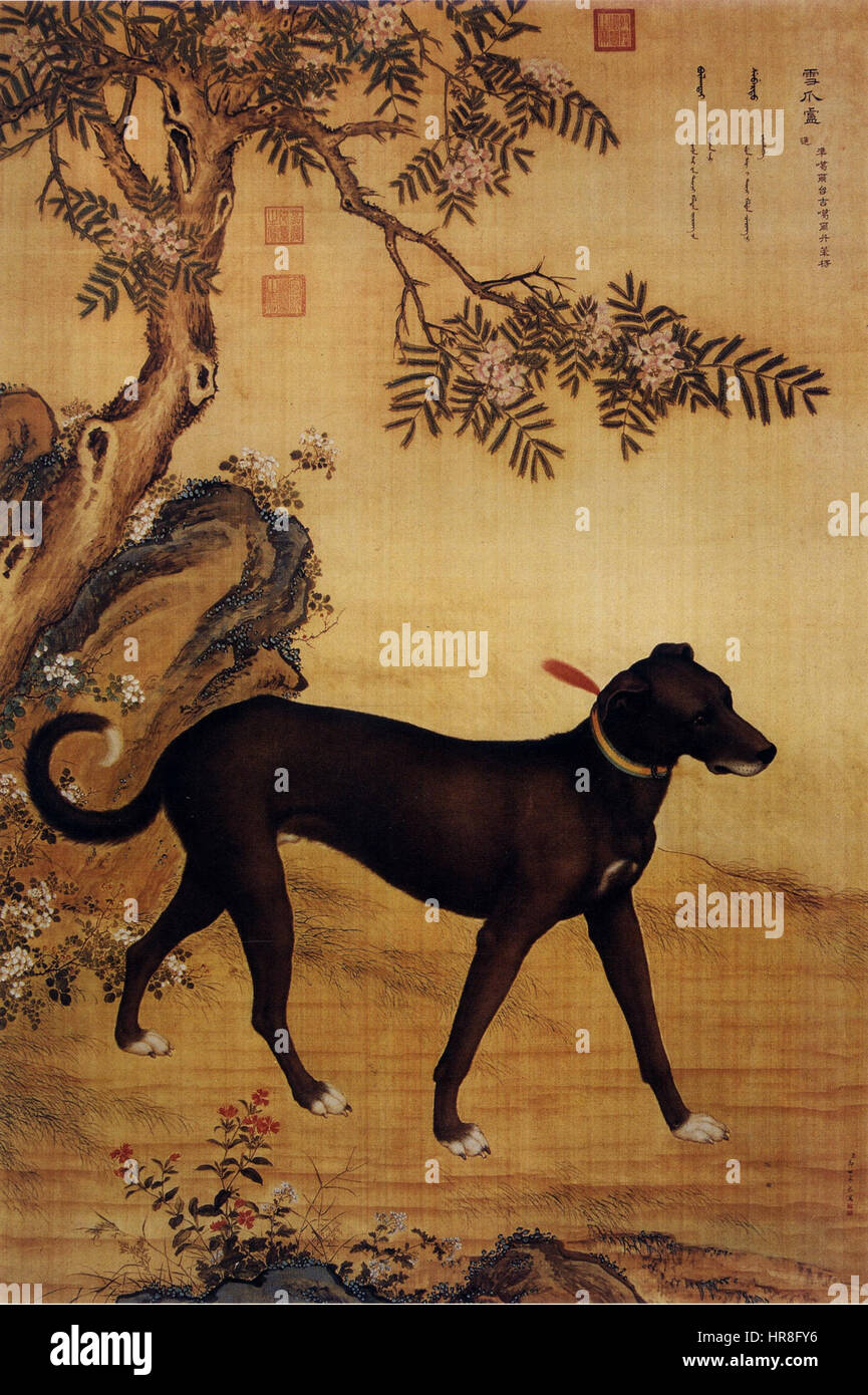 Ten Prized Dogs 10 Stock Photo - Alamy