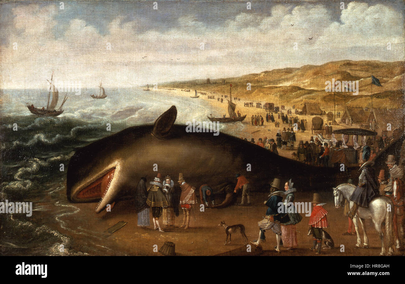 Beached whale art hi-res stock photography and images - Alamy