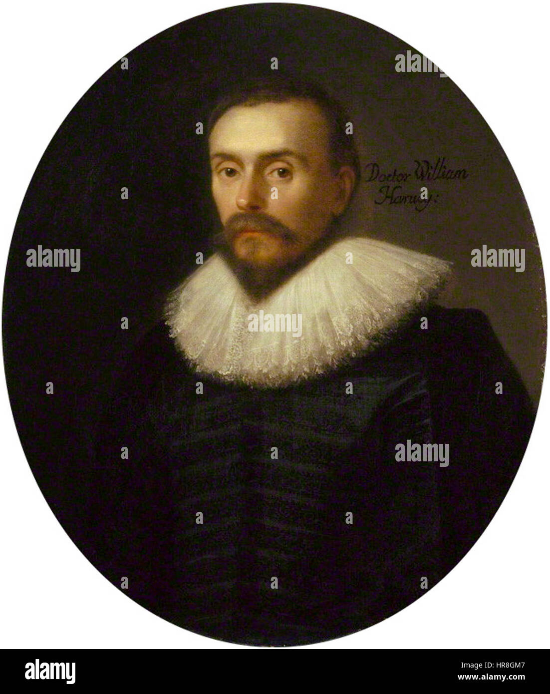 William Harvey 2 Stock Photo - Alamy