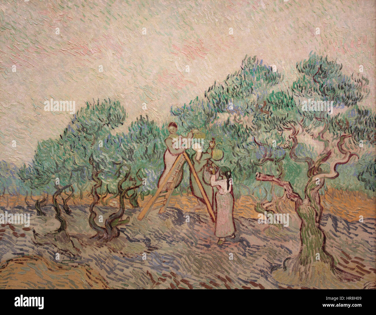 Olive visual art hi-res stock photography and images - Alamy
