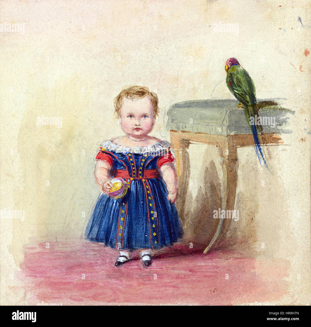 Victoria sketch parrot hi-res stock photography and images - Alamy