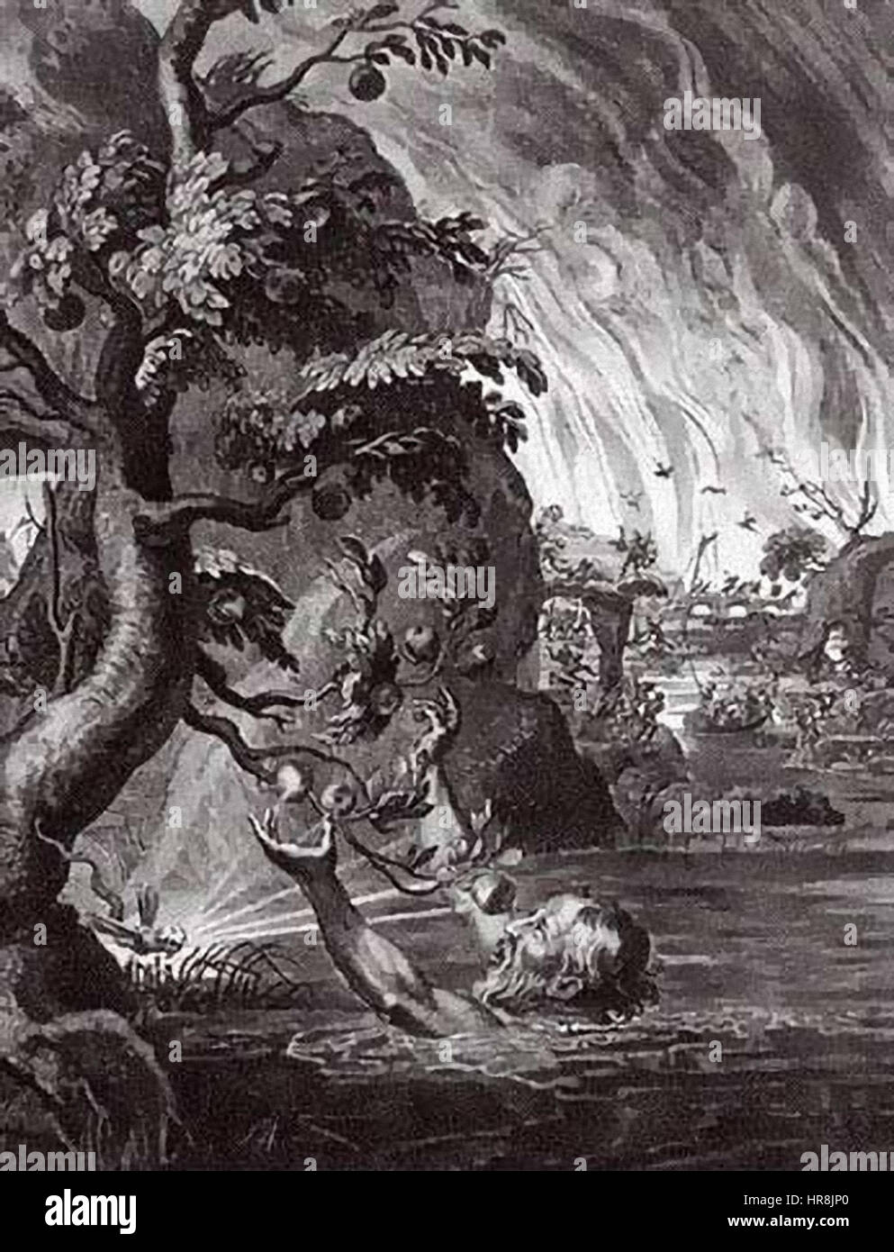 Tantal hi-res stock photography and images - Alamy