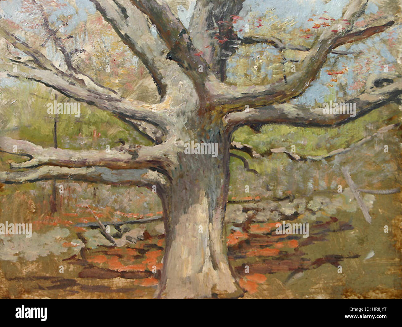 The Great Oak, Allen Butler Talcott Stock Photo - Alamy