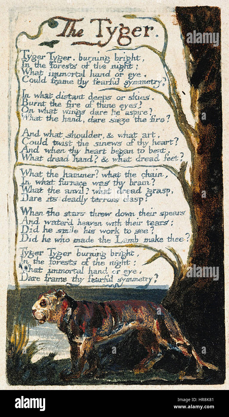 The Tyger YCBA 1794 Stock Photo - Alamy