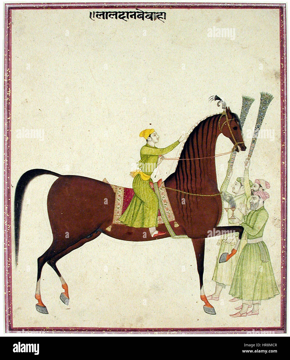 The stallion Laldan Bebaha, shown in this photograph, is a ...