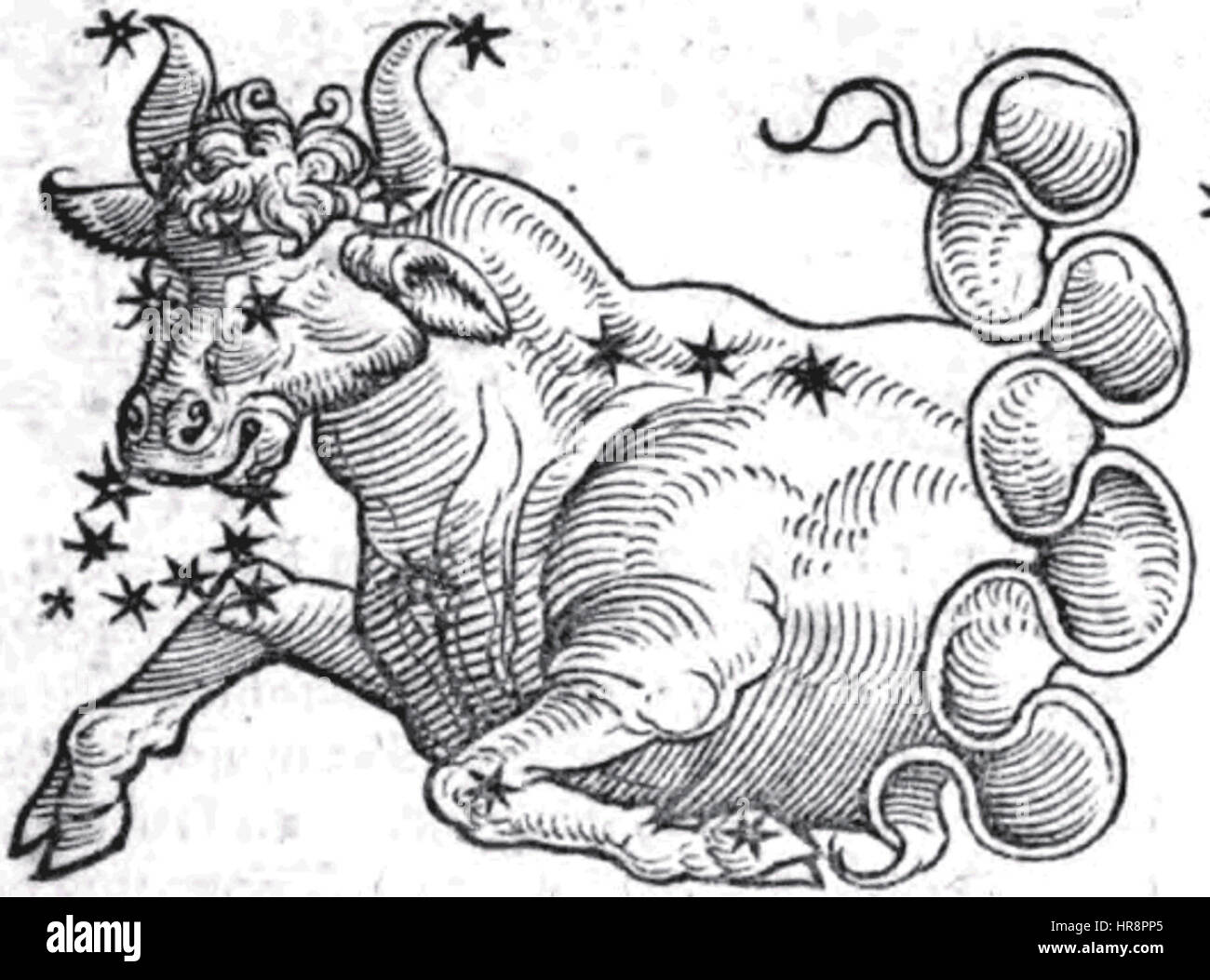 Bonatti Cut Out Stock Images & Pictures - Alamy