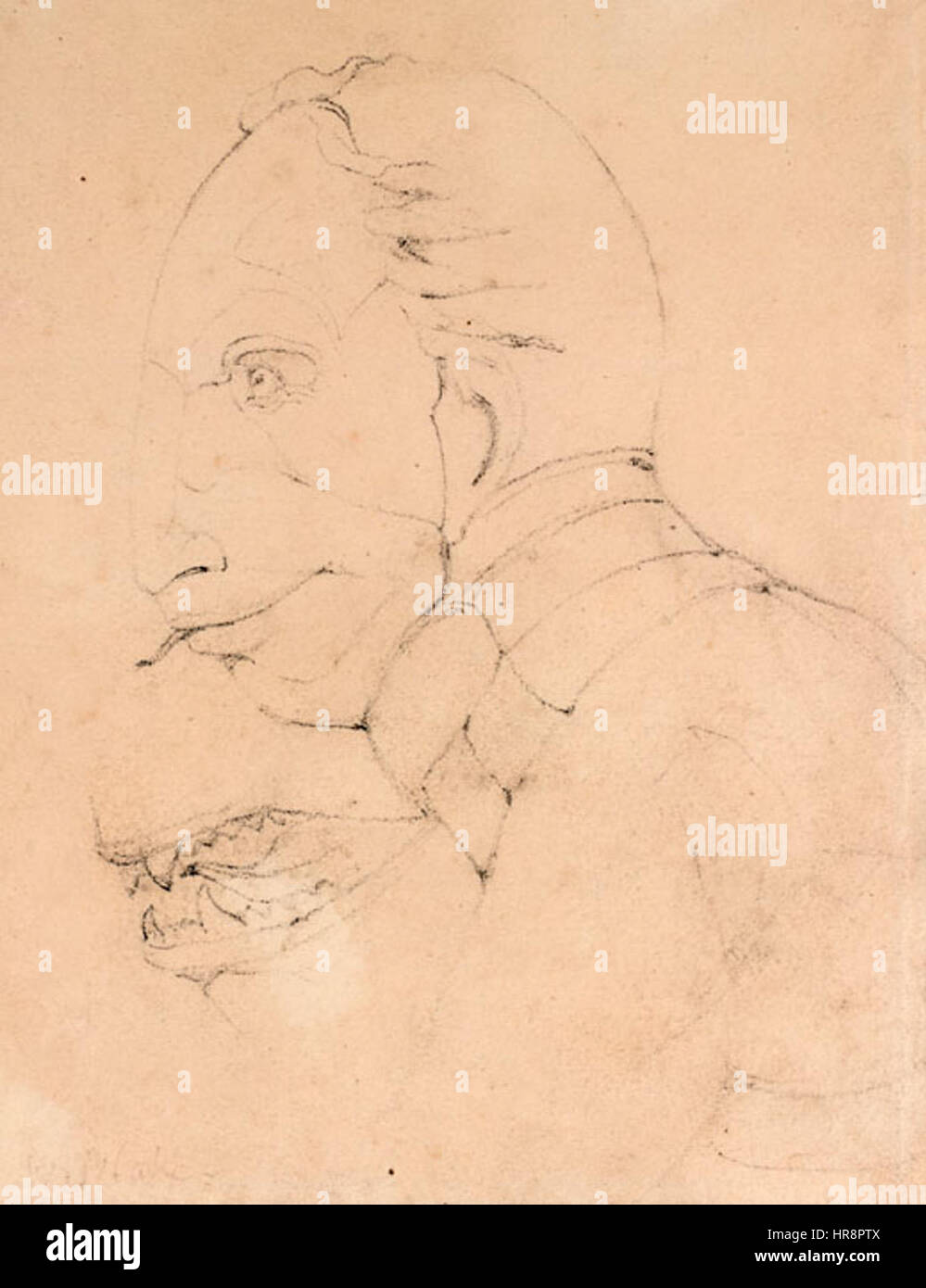 Ghost of a flea hi-res stock photography and images - Alamy