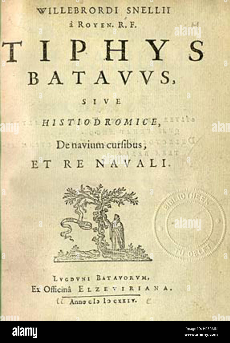 Tiphys Batavus (frontispiece Stock Photo - Alamy