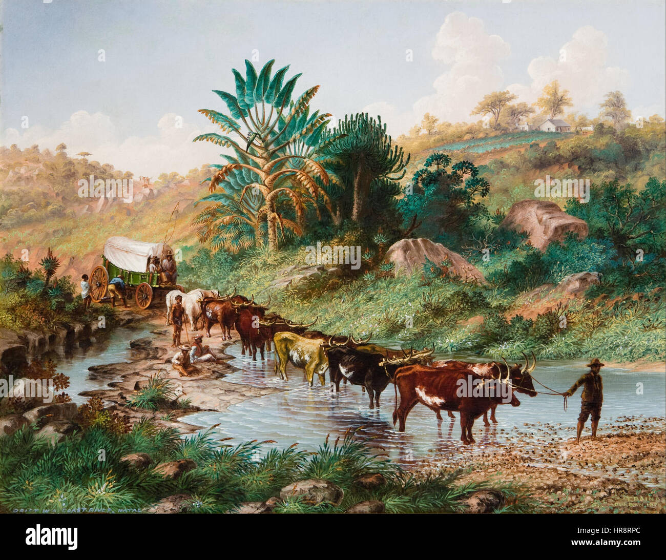 Thomas baines painting hi-res stock photography and images - Alamy