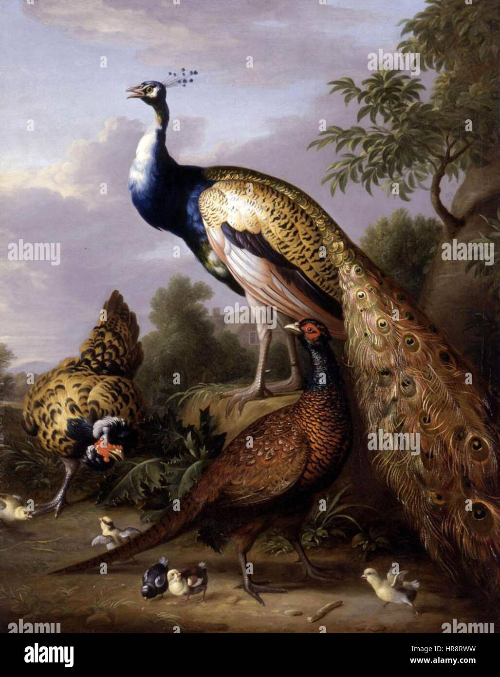 Tobias Stranover’s painting 'Peacock, Hen and Cock Pheasant in a ...