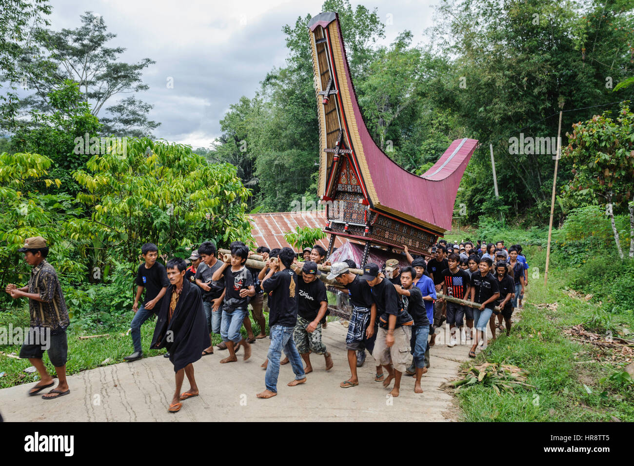 During a traditional ritual funeral of the Tana Toraja the men of the ...