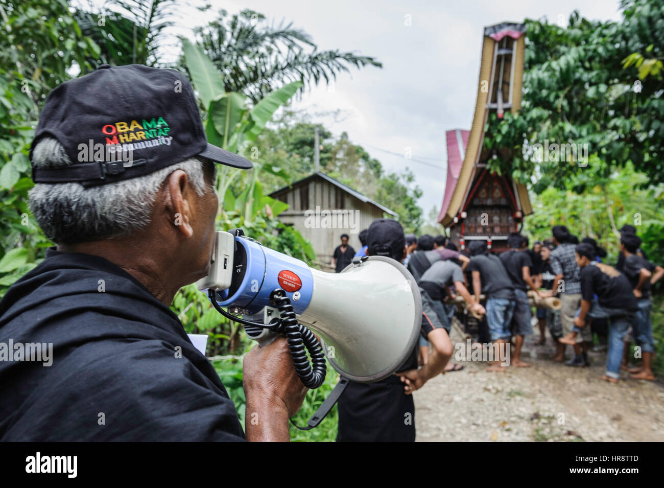 During a traditional ritual funeral of the Tana Toraja. The men of the ...