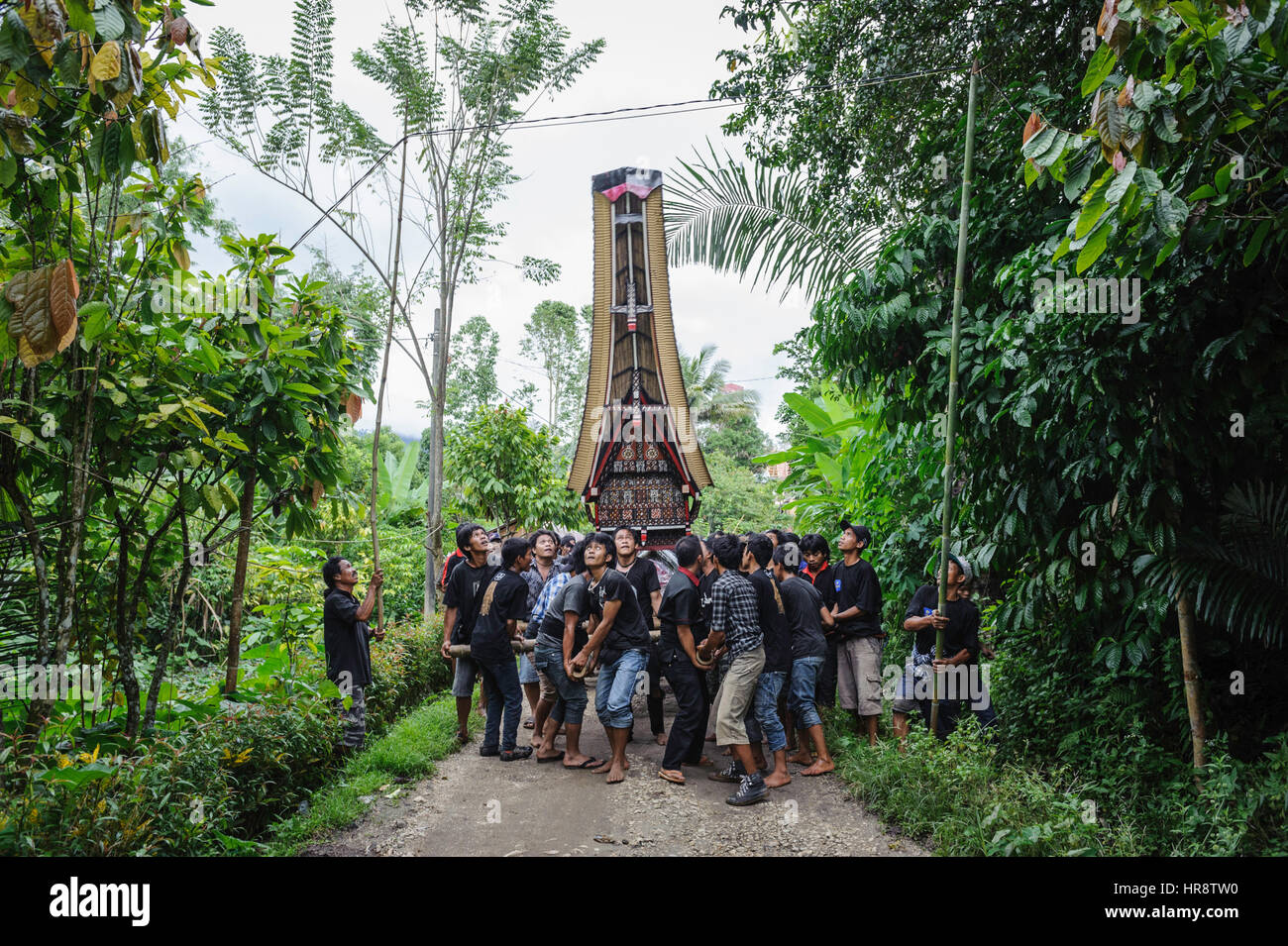 During a traditional ritual funeral of the Tana Toraja the men of the ...