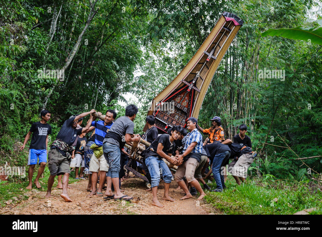During a traditional ritual funeral of the Tana Toraja the men of the ...