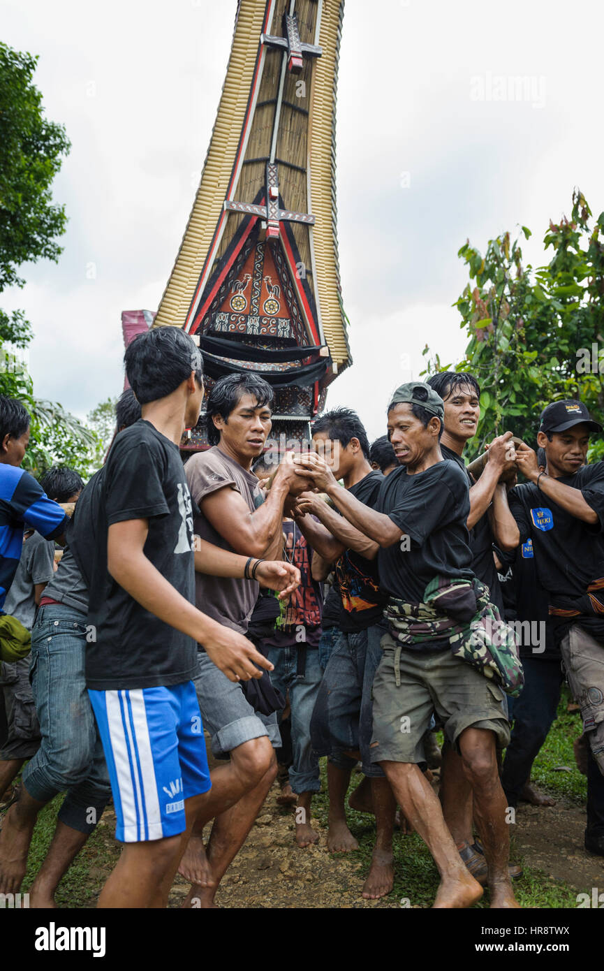 During a traditional ritual funeral of the Tana Toraja the men of the ...