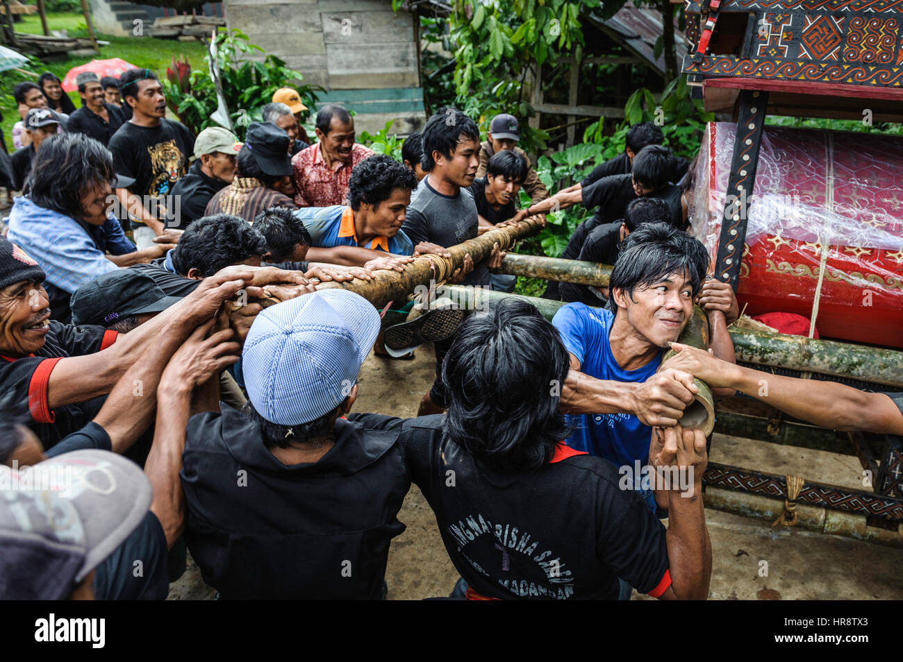 During a traditional ritual funeral of the Tana Toraja the men of the ...
