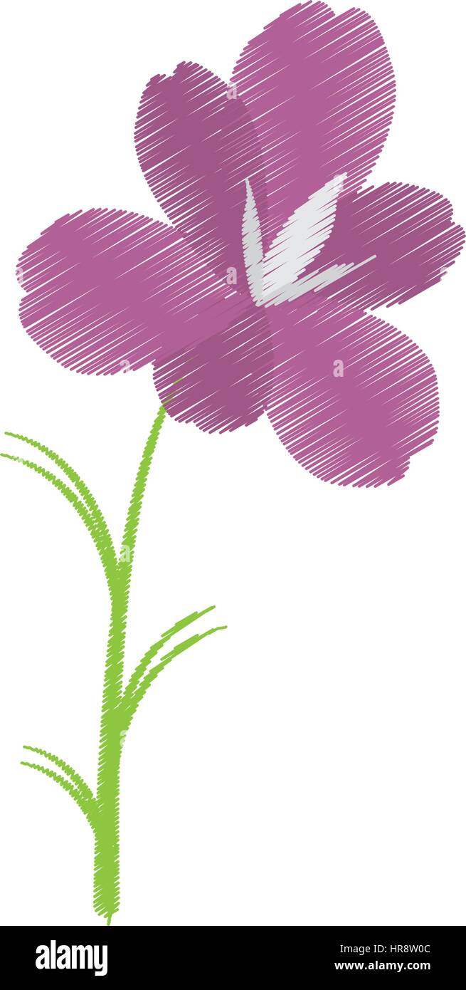 drawing amaryllis flower decoration beautiful vector illustration eps ...