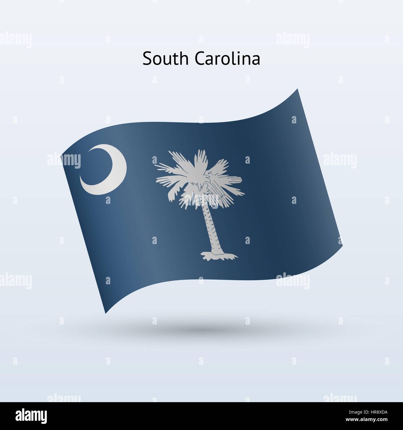 State of South Carolina flag waving form on gray background. Vector ...