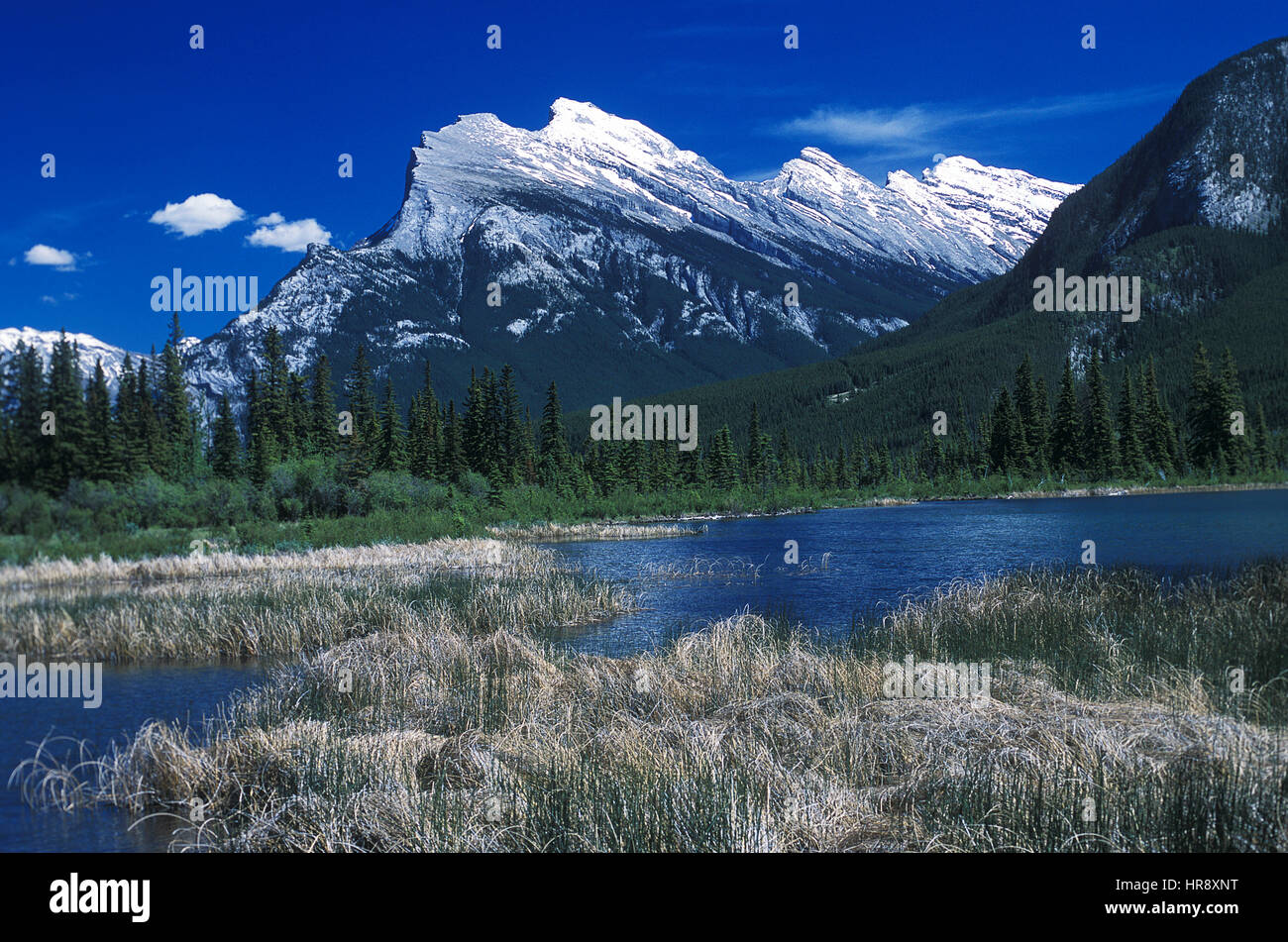 Mt. Rundle, Vermillion Lakes, Banff National Park, Alberta, Canada ...