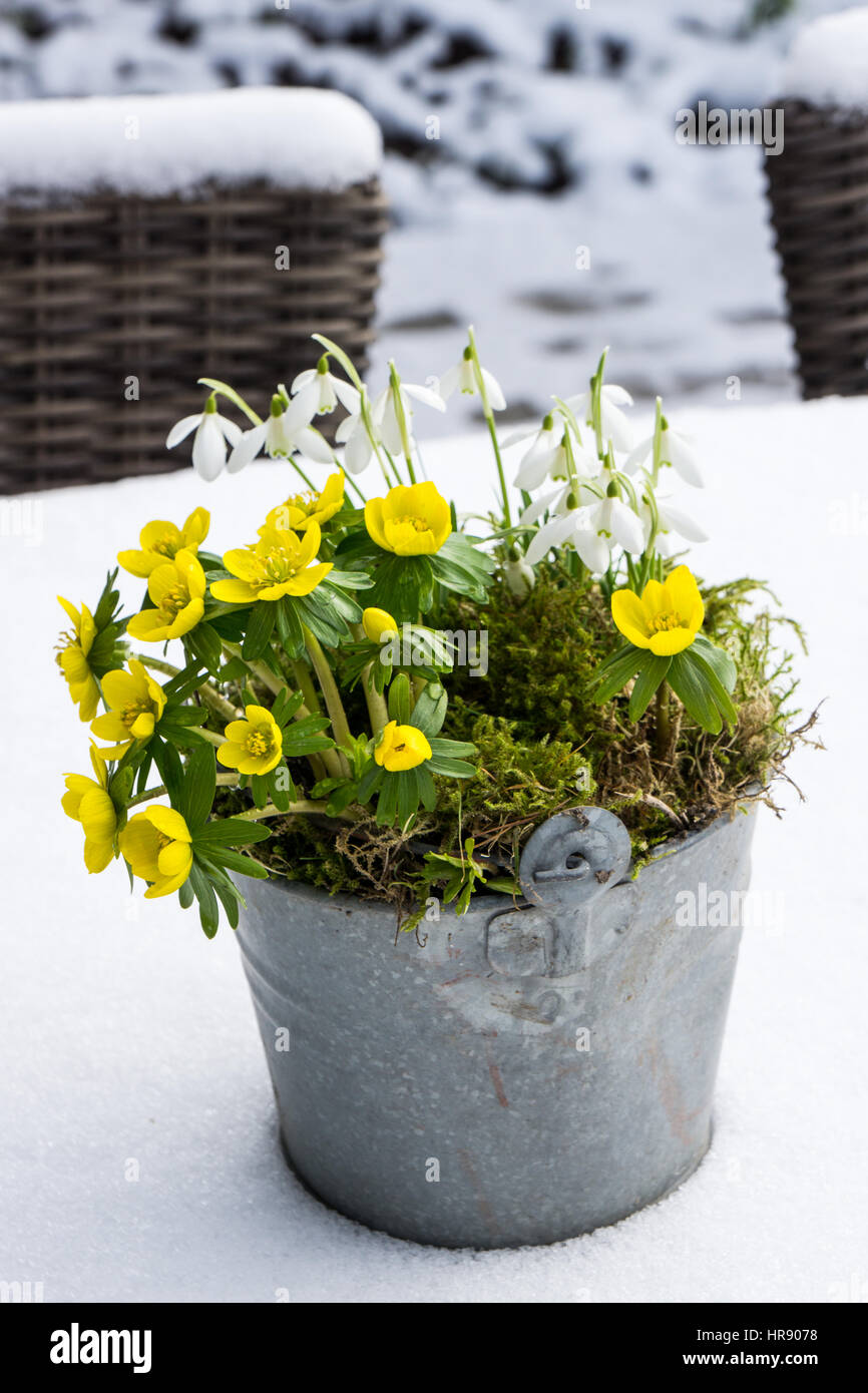 Garden pot stands winter hi-res stock photography and images - Alamy