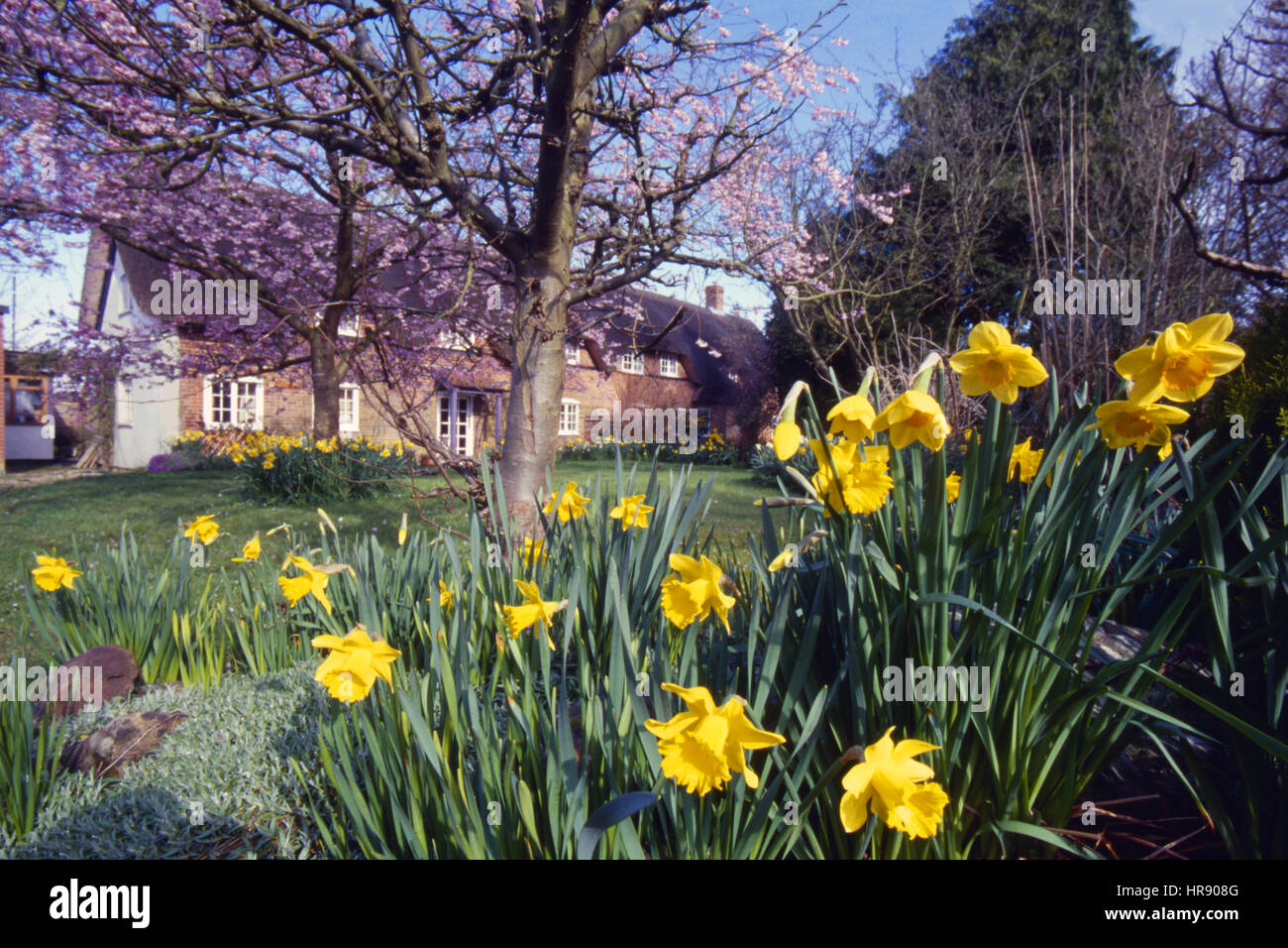 Cottage country life hi-res stock photography and images - Alamy