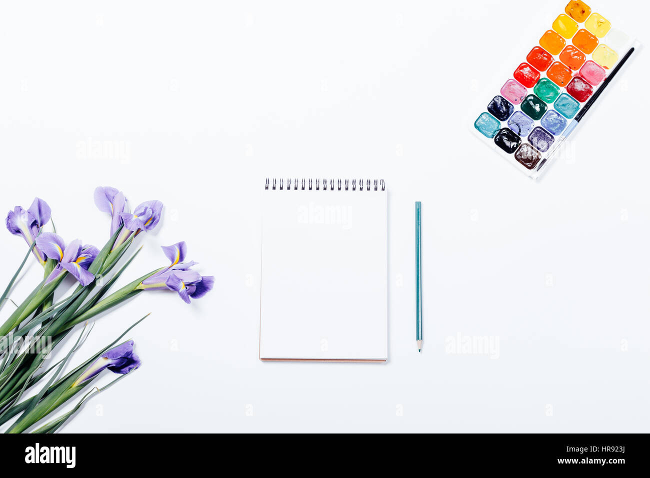 Purple flowers, notebook, pencil and watercolor palette of colors on a ...